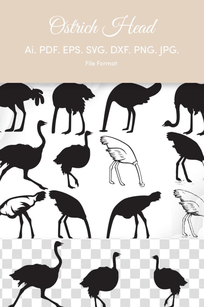 Ostrich Head In Sand SVG, Ostrich SVG – MasterBundles