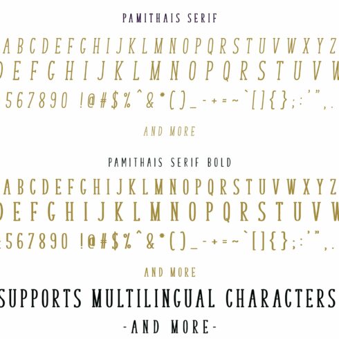 New Pamithais Script Classic Font | Master Bundles