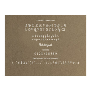 Parisian Handwritten Script Font | MasterBundles