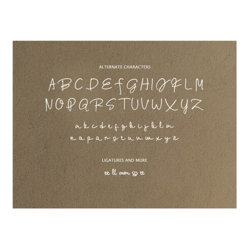 Parisian Handwritten Script Font - MasterBundles