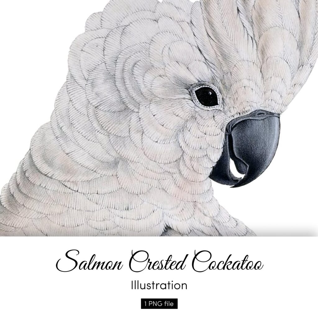 Cockatoo Svg File, Animal Svg, Cockatoo Cut File, Bird Svg – MasterBundles