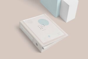 Plastic Crown Box File Folder Mockup – MasterBundles