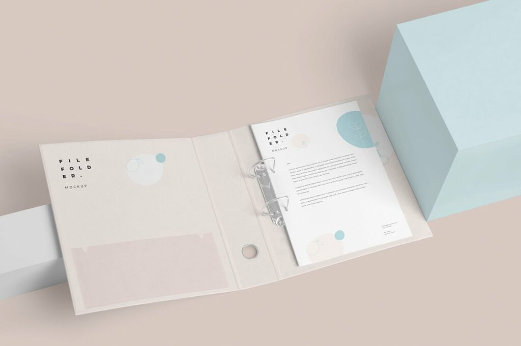 Plastic Crown Box File Folder Mockup – MasterBundles