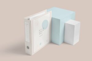 Plastic Crown Box File Folder Mockup – MasterBundles