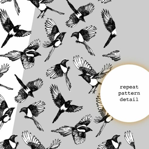 Magpie Clipart & Patterns | Master Bundles