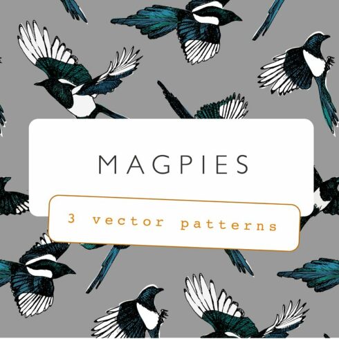 Magpie Clipart & Patterns | Master Bundles