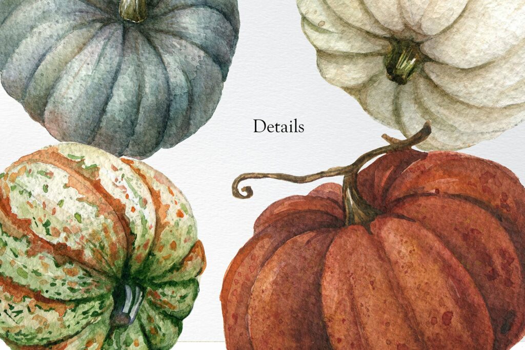 Watercolor Pumpkin Clipart – MasterBundles
