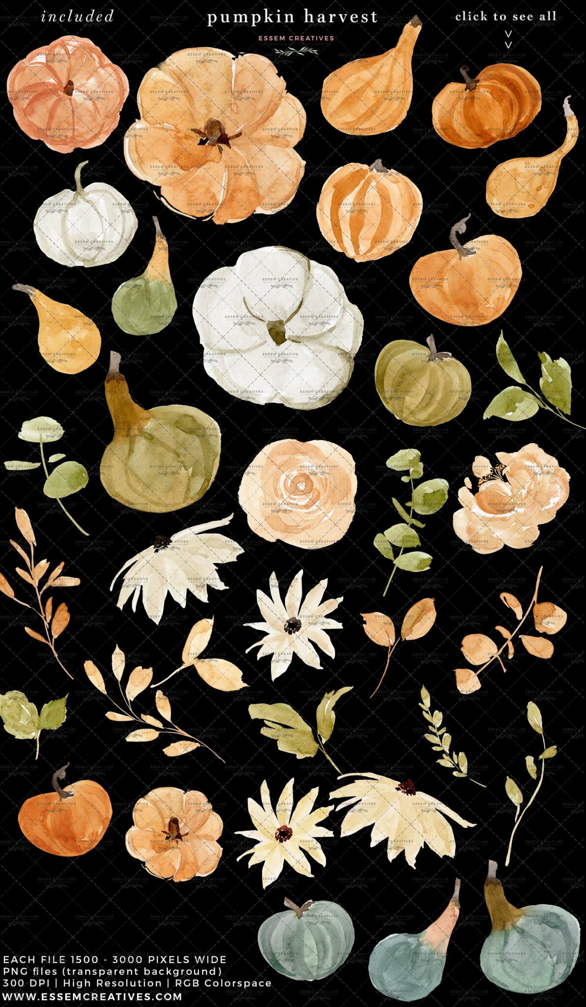 Pumpkin Harvest Thanksgiving Clipart – MasterBundles