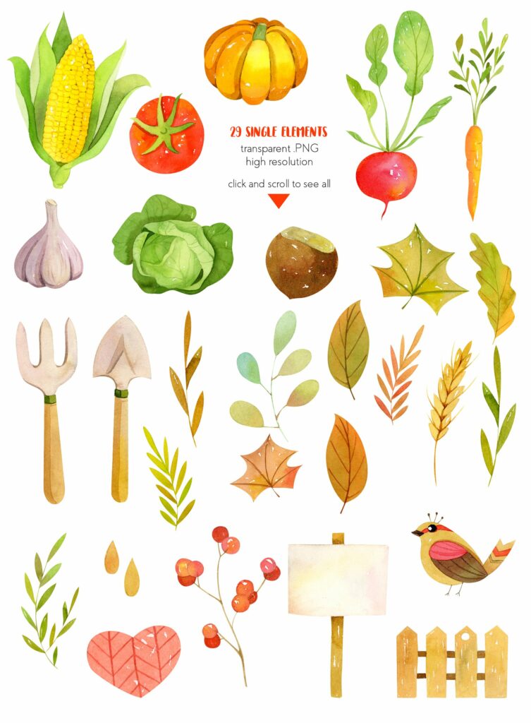 Watercolor Autumn Harvest Clip Art – MasterBundles