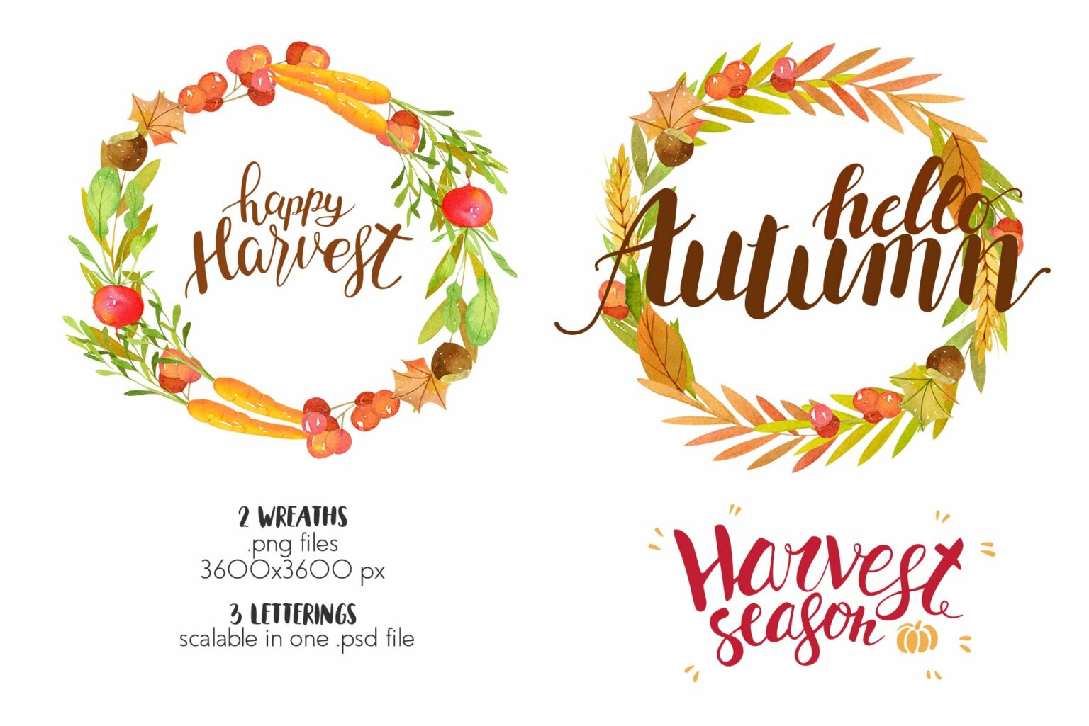 Watercolor Autumn Harvest Clip Art – MasterBundles