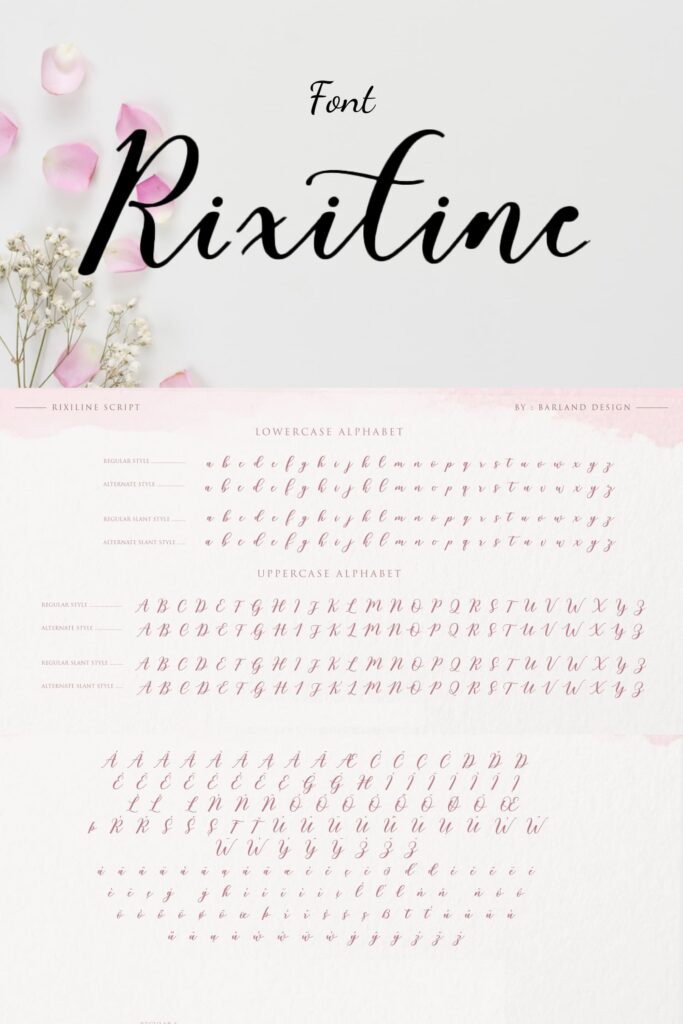 Rixiline Script Modern Font – MasterBundles