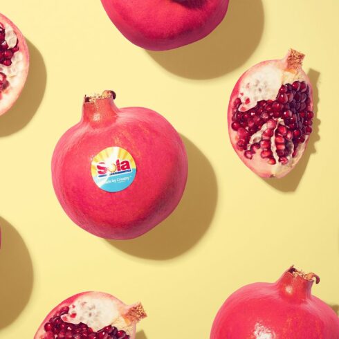 Round Fruit Sticker Mockup Set | MasterBundles
