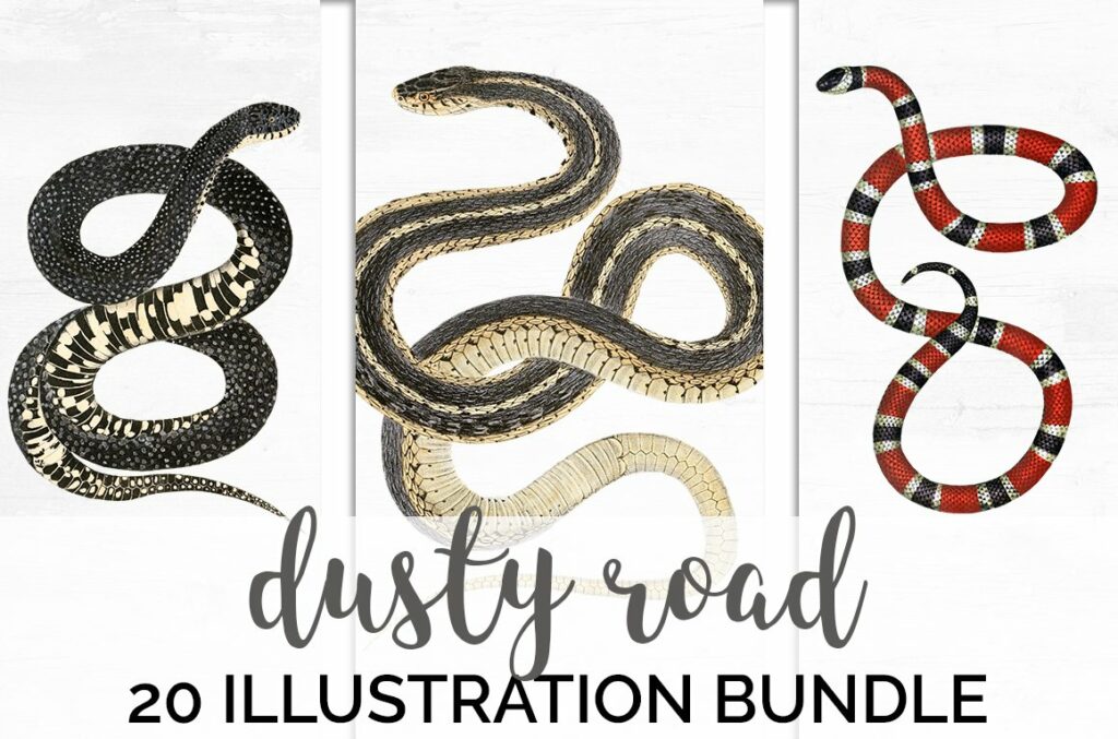 Snake Bundle Vintage Clipart – MasterBundles