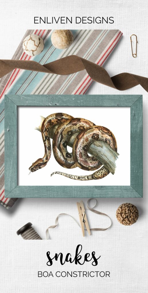 Snake Bundle Vintage Clipart – MasterBundles