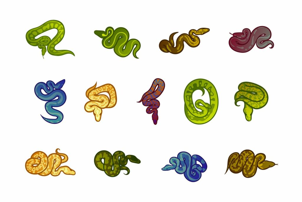Snakes Illustration Set. Colored, Line And Silhouette Styles ...
