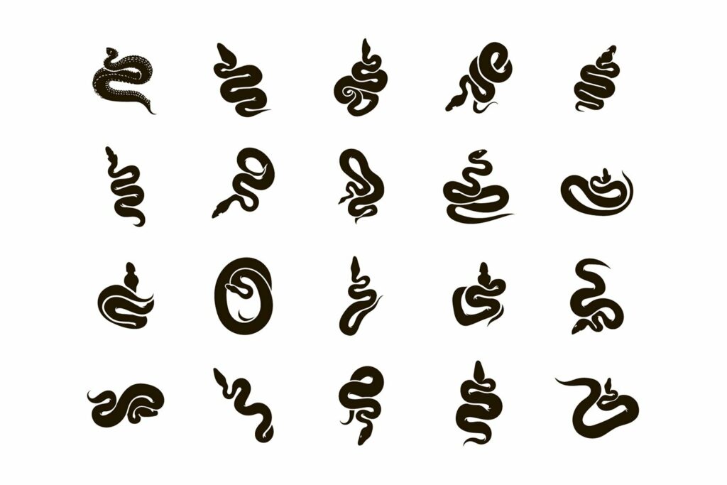 Snakes Illustration Set. Colored, Line And Silhouette Styles ...