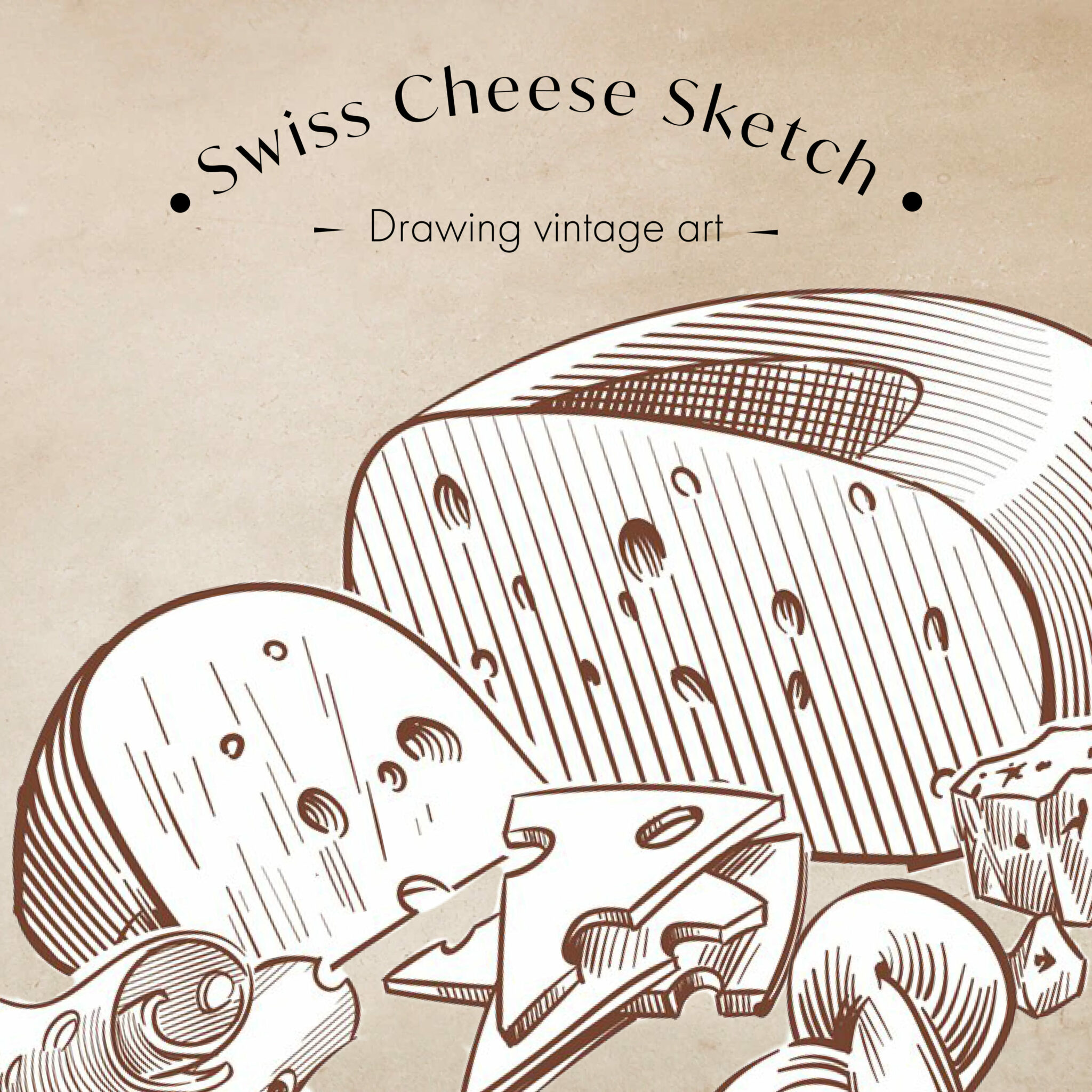 Hand Drawn Cheese. Various Types Of Cheeses. Tasty Brie, Moz | Master ...