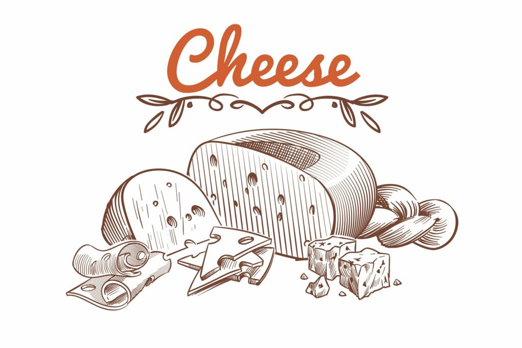 Swiss Cheese Sketch. Drawing Vintage Art Ingredients For Rec ...