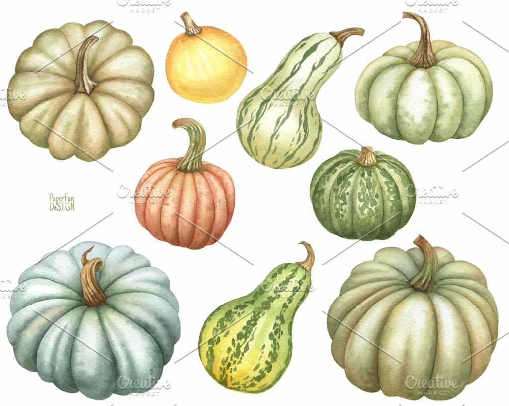 9 Watercolor Pumpkins Clipart PNG – MasterBundles