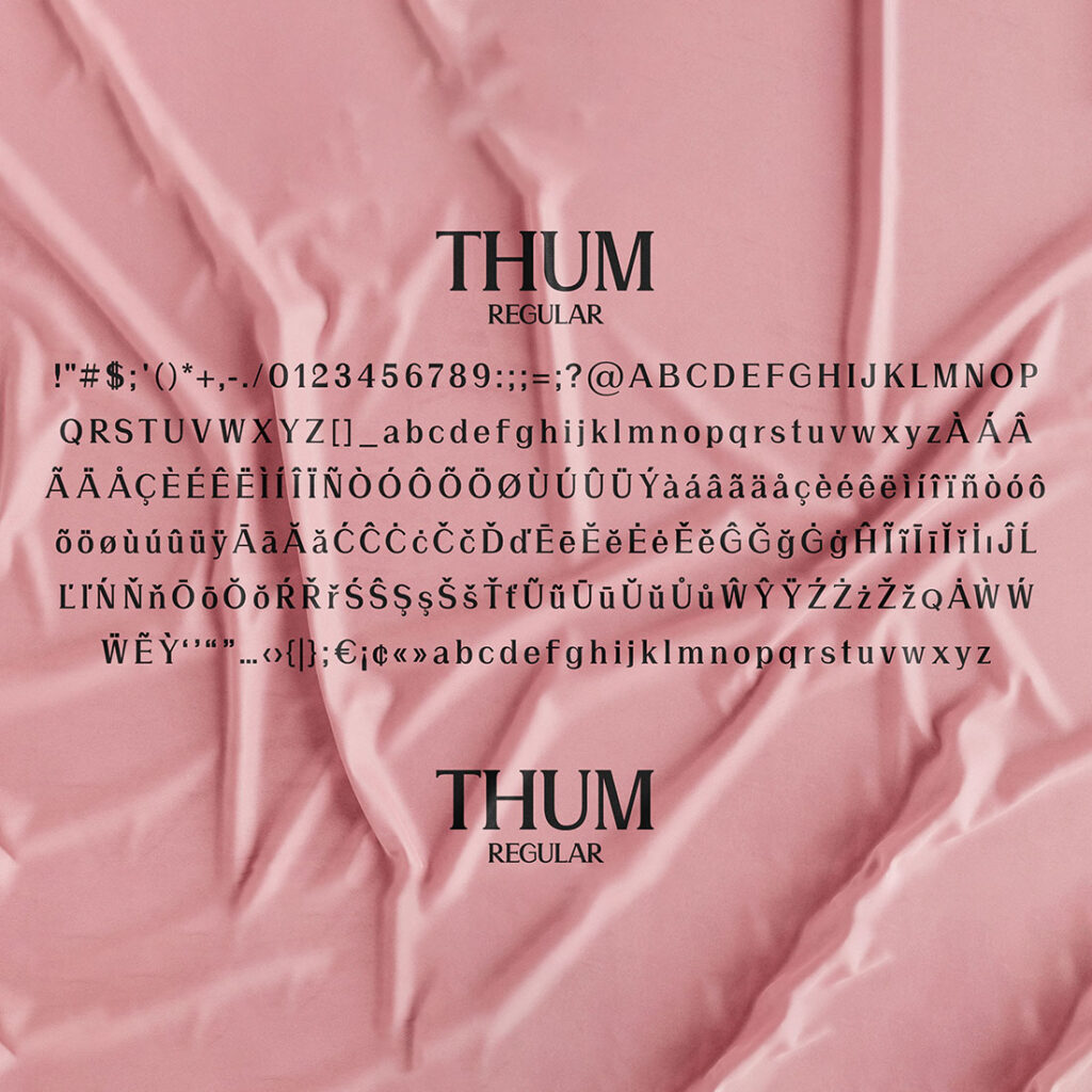Thum Elegant Serif Font - MasterBundles