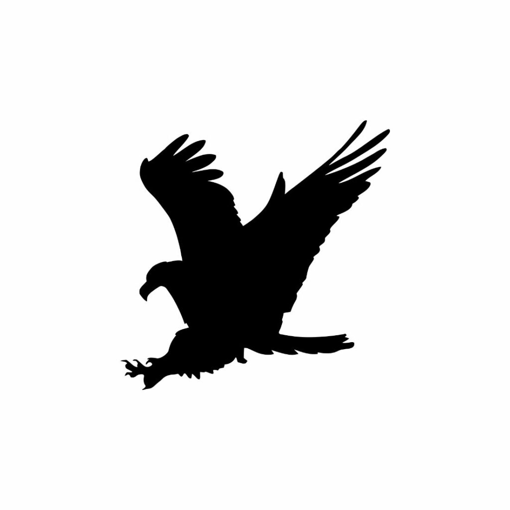 Hawk Silhouette Bundles - MasterBundles