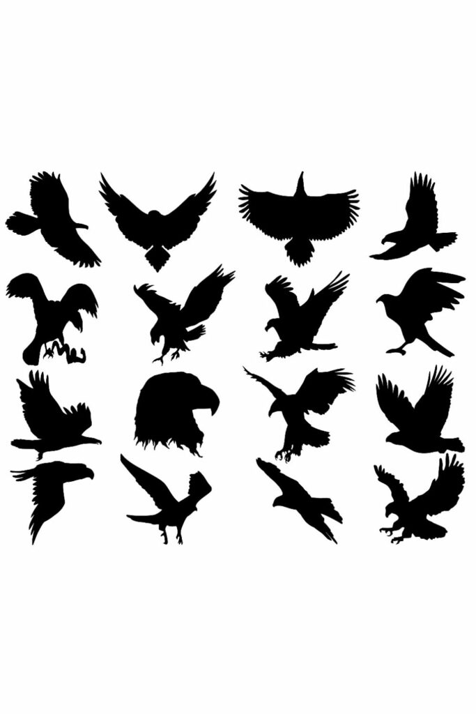 Hawk Silhouette Bundles - MasterBundles