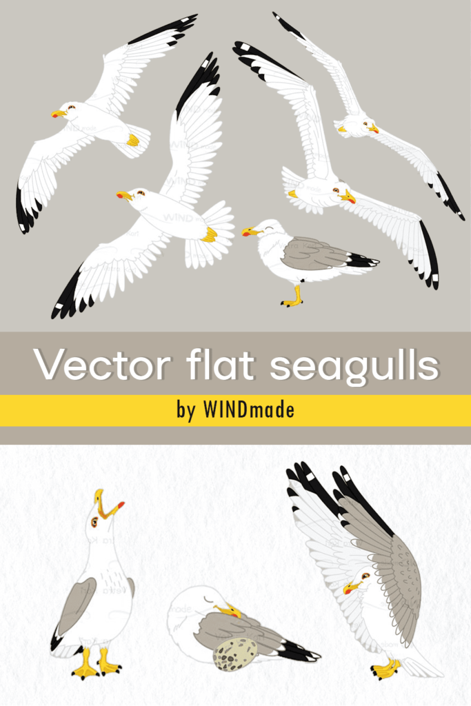 Vector Seagull Sea Gull Set – MasterBundles