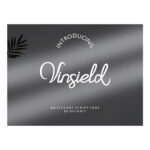 Vinsield Calligraphy Font - MasterBundles
