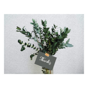 Vinsield Calligraphy Font - MasterBundles