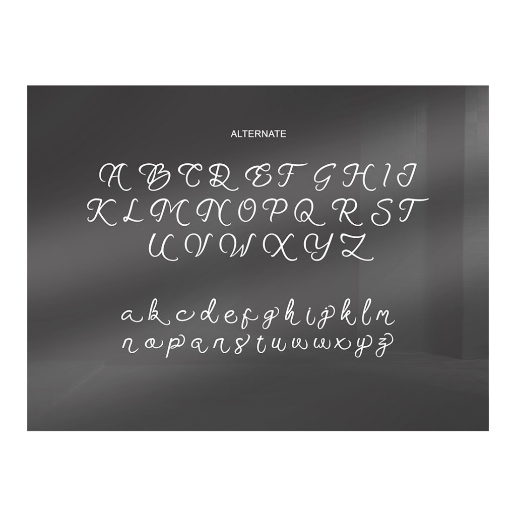 Vinsield Calligraphy Font - MasterBundles