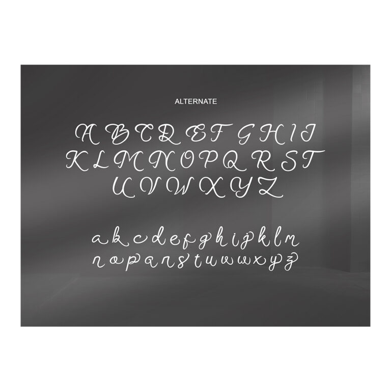 Vinsield Calligraphy Font - MasterBundles