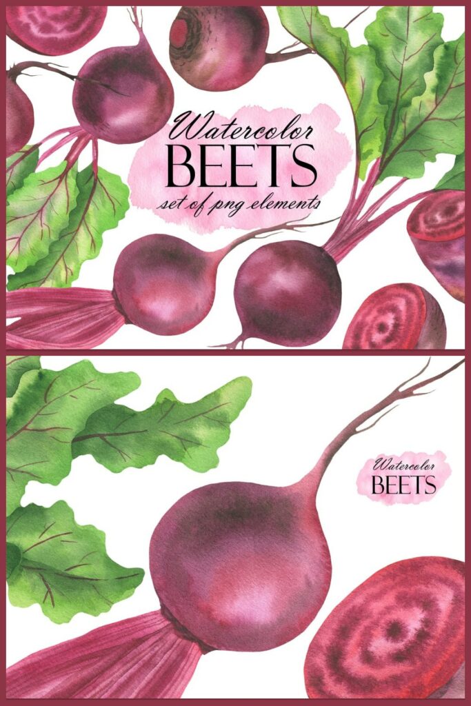 Watercolor Beet – MasterBundles
