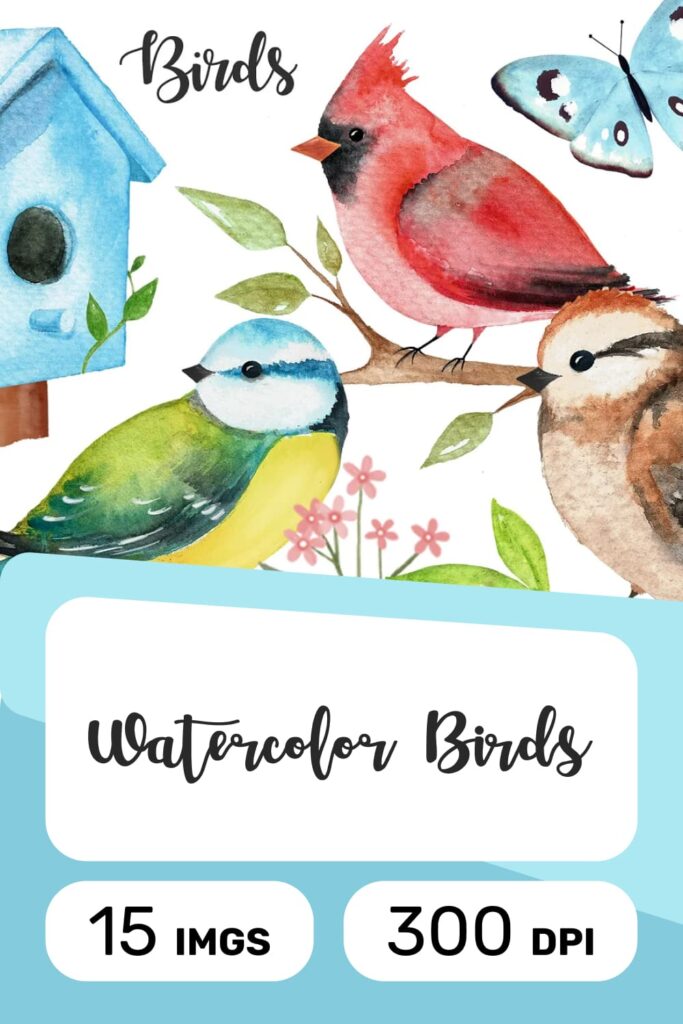 15 Watercolor Birds – MasterBundles