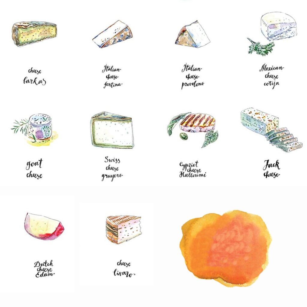 Watercolor Cheese Set AI – MasterBundles