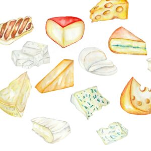 Watercolor Clipart Cheese Types Board Food Kitchen Recipe – MasterBundles
