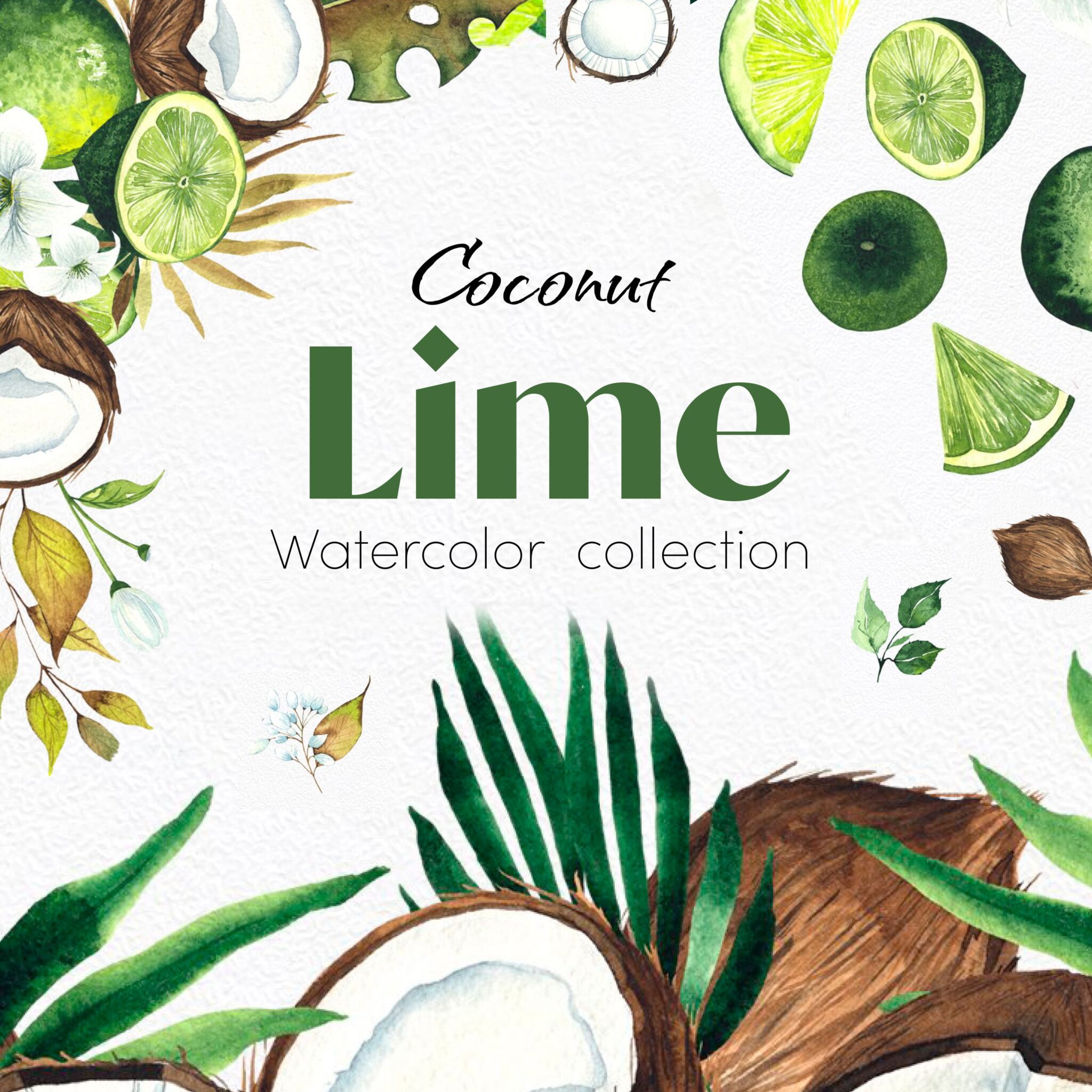 Hand Drawing Illustrations of Different Sides of Coconut – MasterBundles