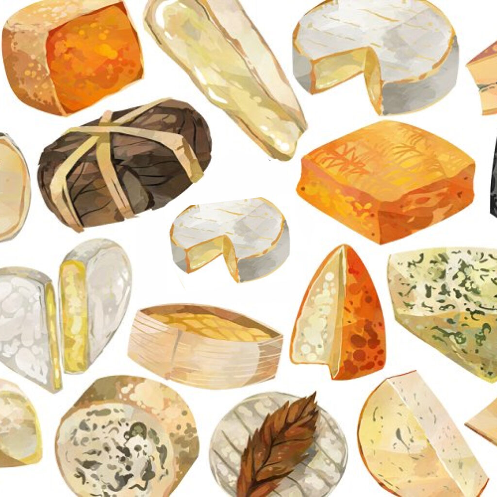 Watercolor French Cheese Clipart – MasterBundles