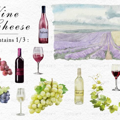 Watercolor Wine Clipart, White And Red Wine, Grapes, Cheese | MasterBundles
