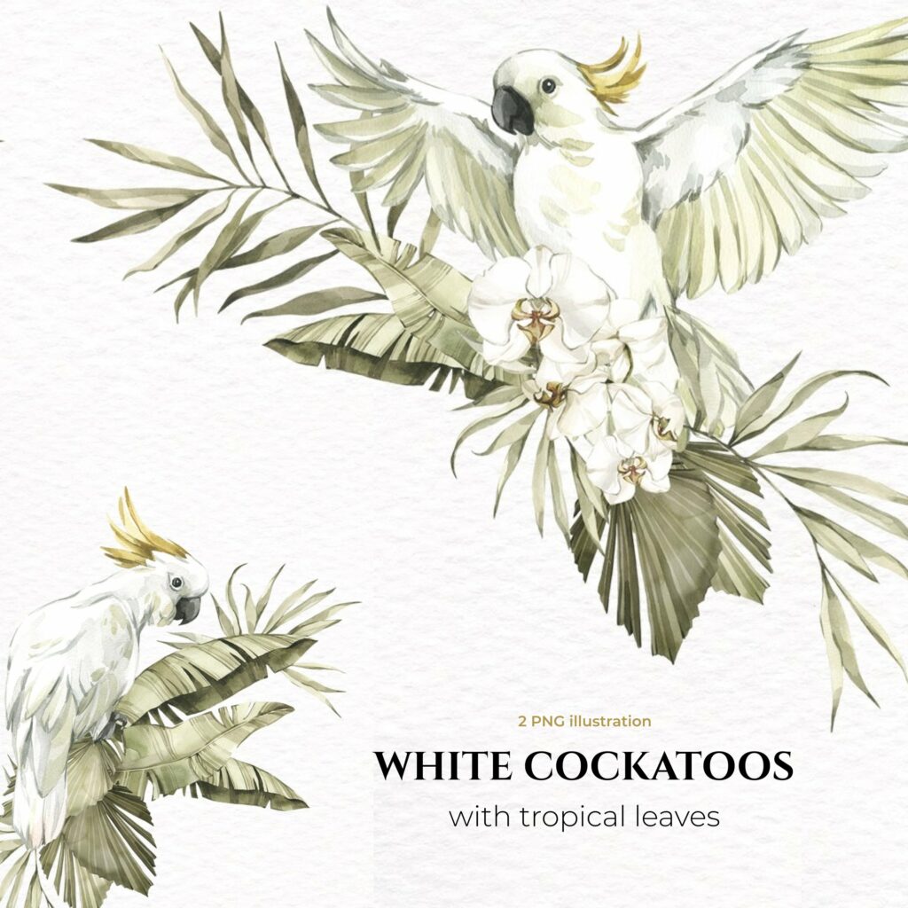 White Cockatoos with Tropical Leaves. Watercolor PNG Clipart ...
