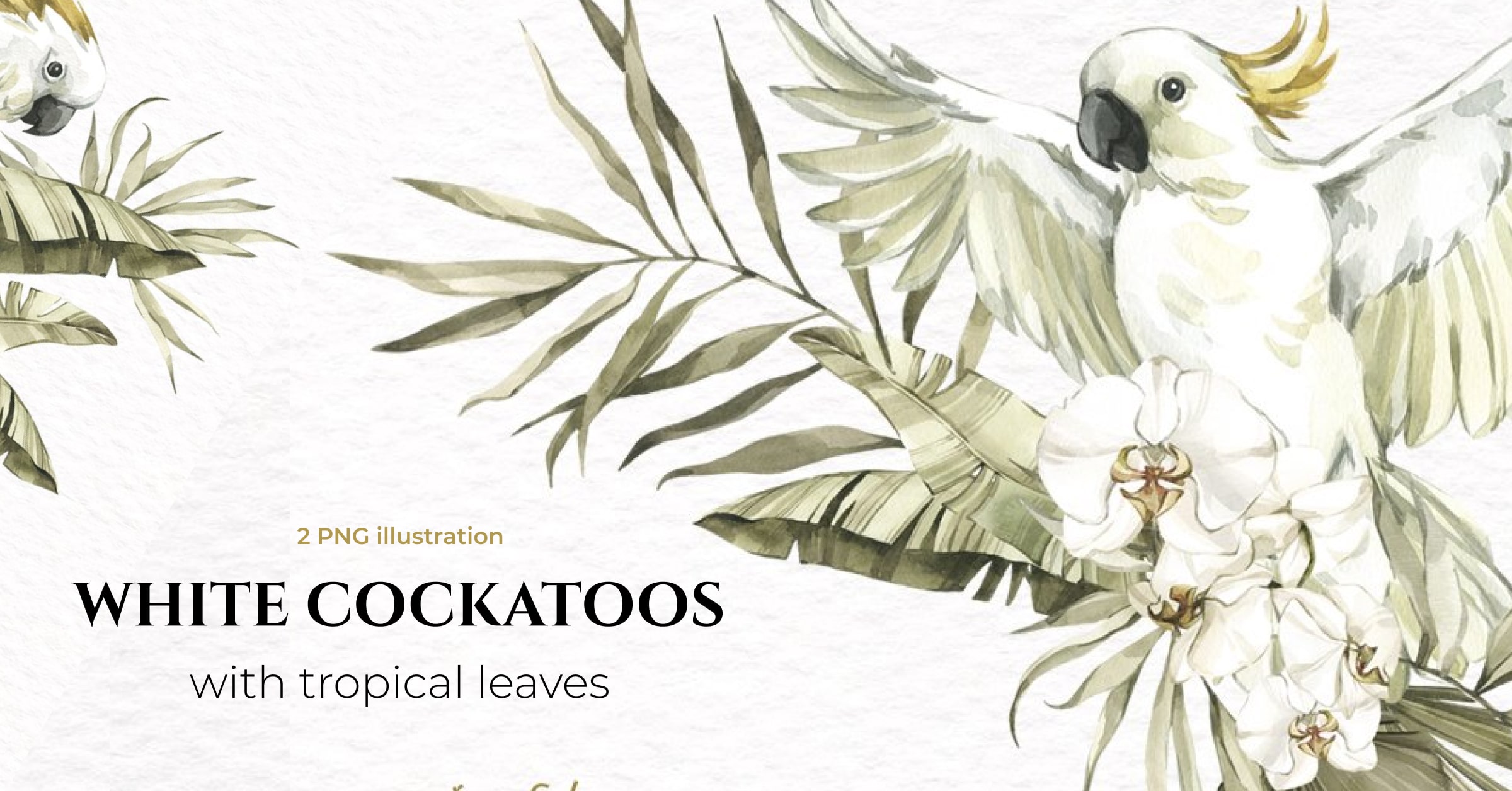 White Cockatoos with Tropical Leaves. Watercolor PNG Clipart ...