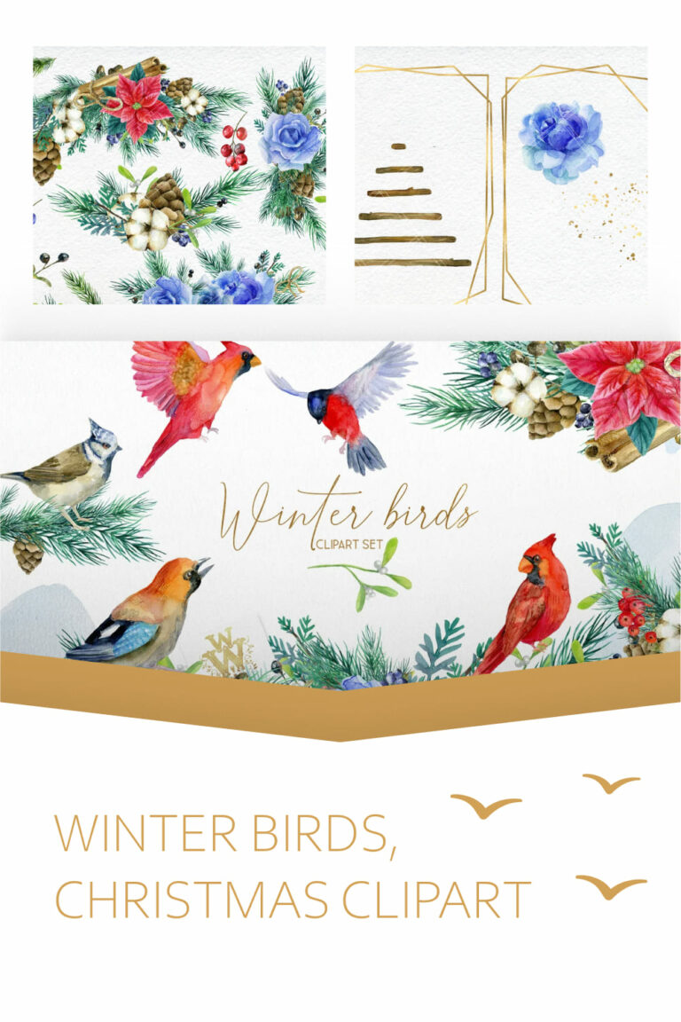 Winter Birds, Christmas Clipart – MasterBundles