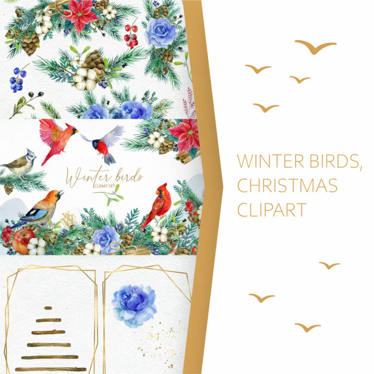 Winter Birds, Christmas Clipart – MasterBundles