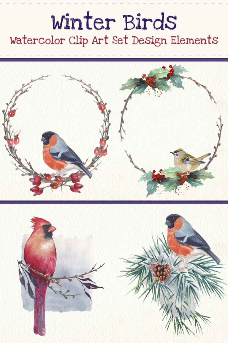 Winter Birds Watercolor Clip Art Set Design Elements – MasterBundles