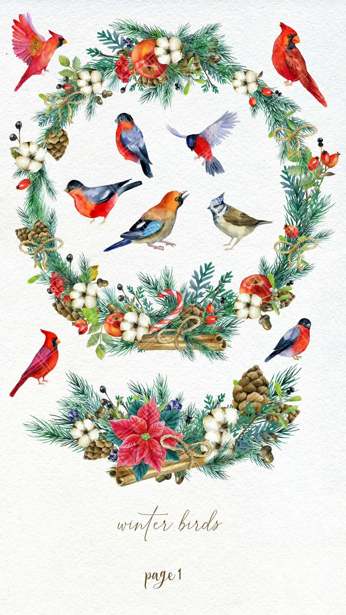 Winter Birds, Christmas Clipart – MasterBundles