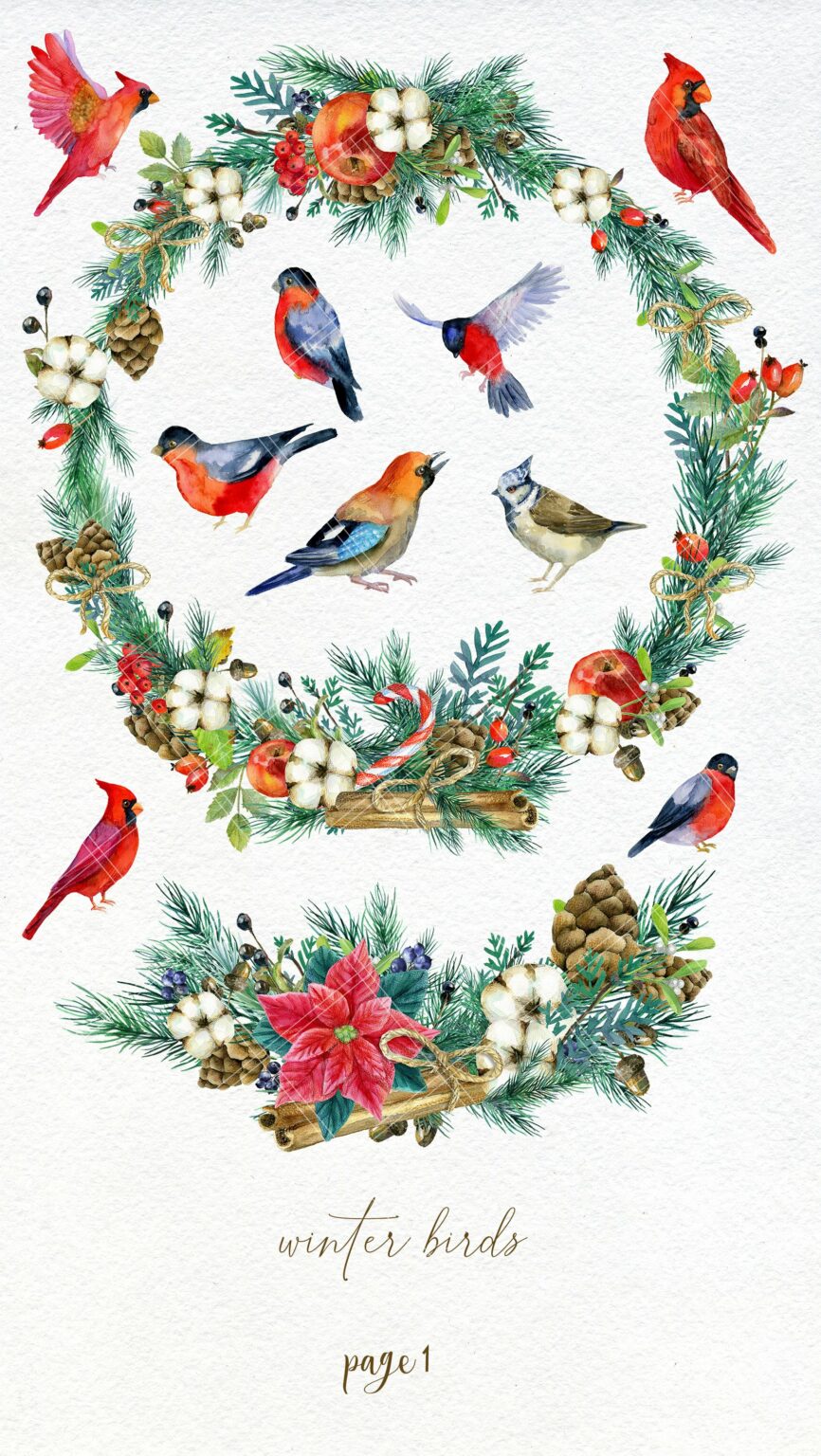 Winter Birds, Christmas Clipart – MasterBundles