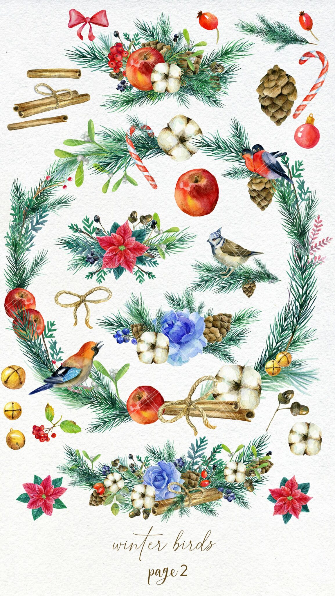 Winter Birds, Christmas Clipart – MasterBundles