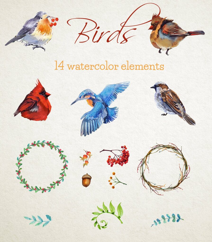 Birds Watercolor Clipart Set – MasterBundles