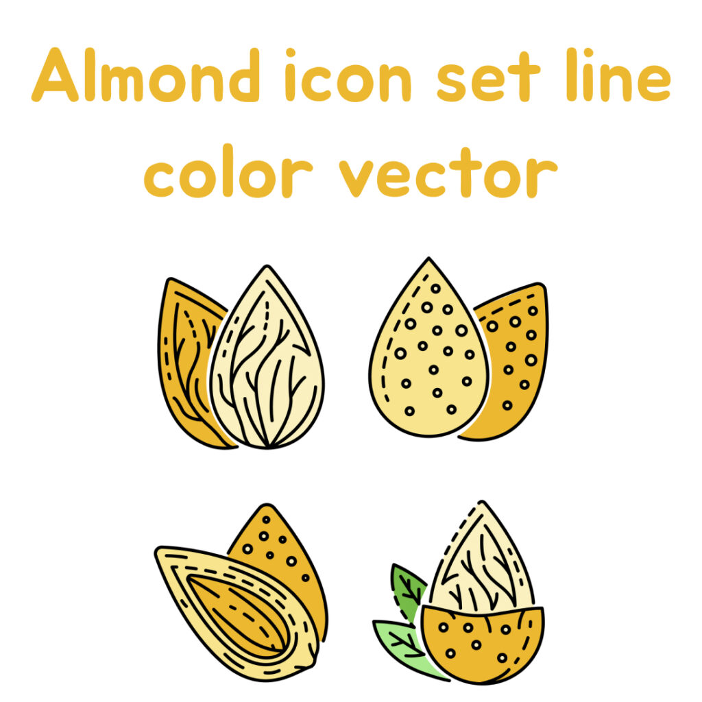 Almond Icon Set Line Color Vector – MasterBundles
