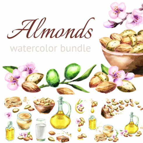 Almonds Bundle. Watercolor – MasterBundles
