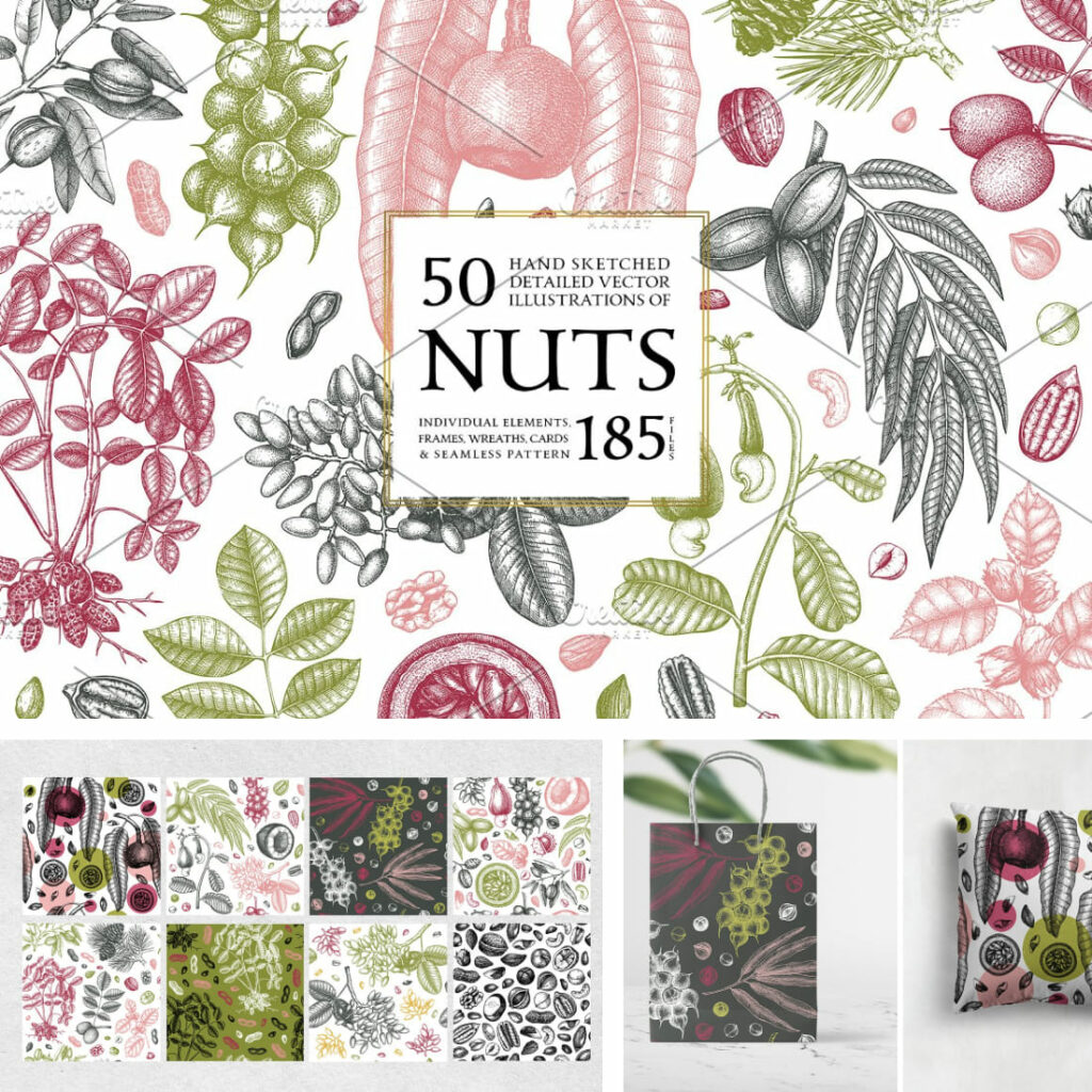 Nut Sketches. Vector Set – MasterBundles